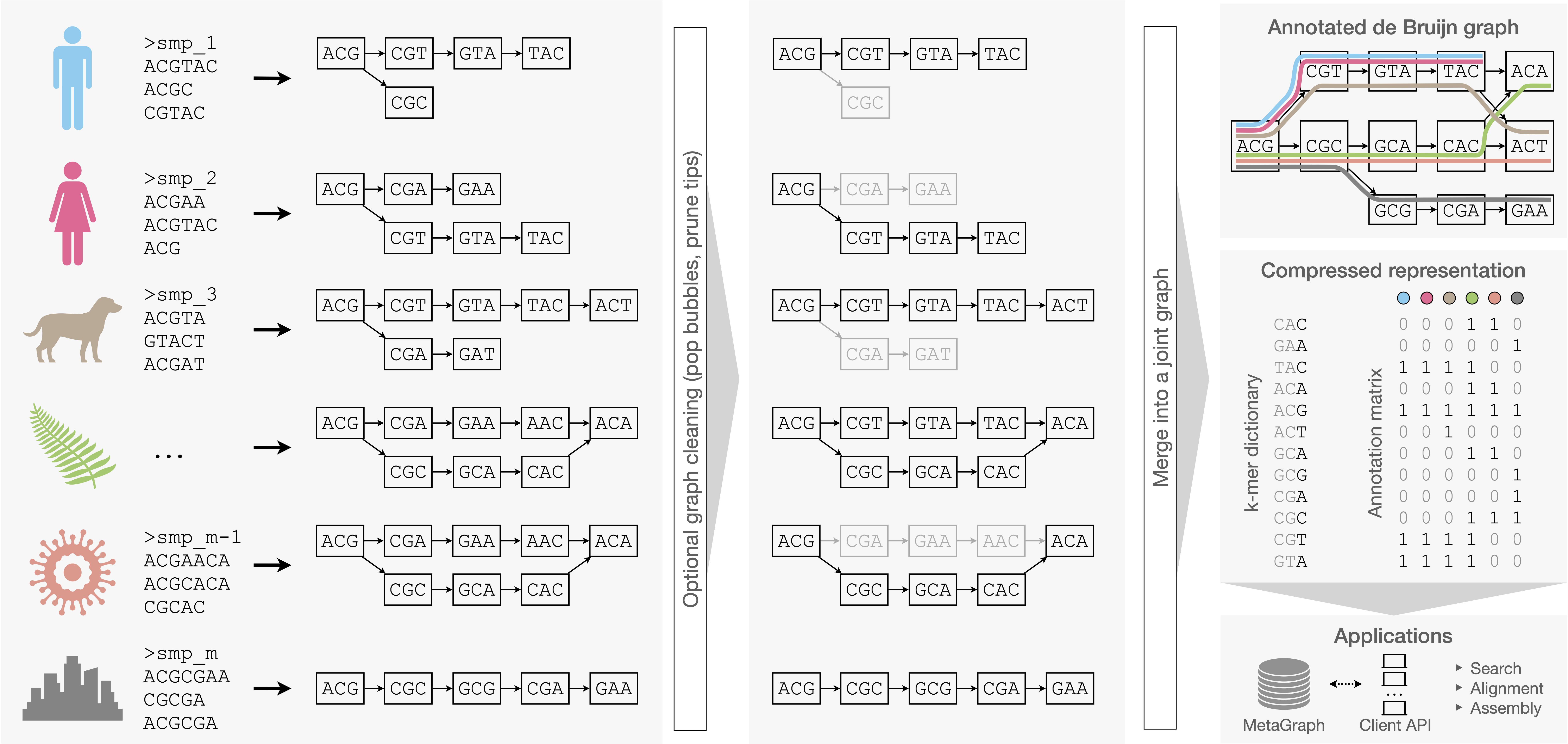 Multi-genome Representations with MetaGraph | Mikhail Karasikov